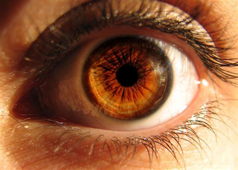 The Eye By Litlpunk On Deviantart