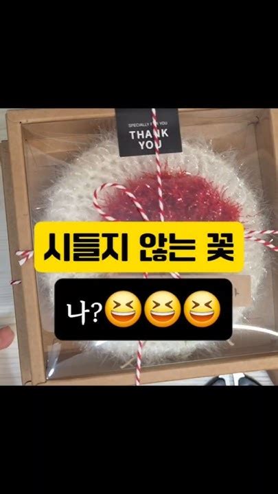 근로자의 날 자영업자는 일하기 🥹 Youtube