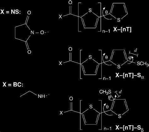 Schematic Drawings Of The Investigated Bithiophene N ¼ 2 And Download Scientific Diagram
