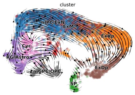 multivelo fig6 — multivelo 0 1 documentation