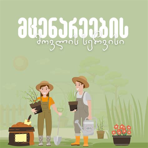 Anemone • ანემონე 👩🏼‍🌾 ანემონე თქვენი მცენარებიისთვის მოვლის სერვისს