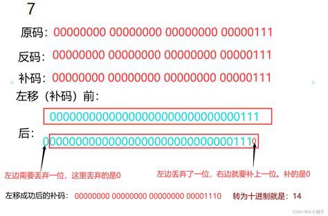 【初阶c语言】操作符1 对二进制的操作 c二进制定义 csdn博客
