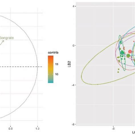 Principal Component Analysis With A Projection Of The Variables And