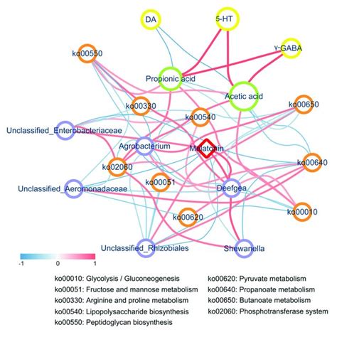 Correlation Network Analysis The Correlation Network Constructed