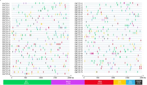 Potential Cis Elements In A 2 Kb 5′ Flanking Region Upstream From The