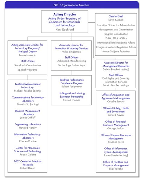Technology Org Chart Ponasa