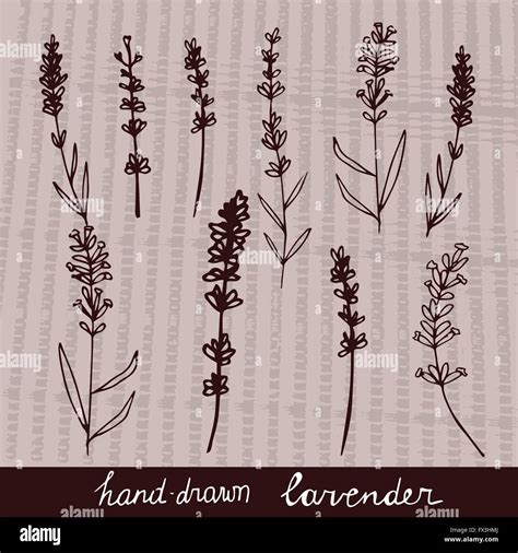Hand Drawn Set Medical Stock Vector Images Alamy