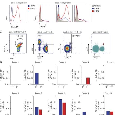 Physiological Context Of Hla Dr Recognition By γδ Tcrs A Staining Download Scientific