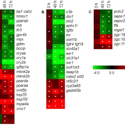 validation of microarray results by quantitative real time pcr