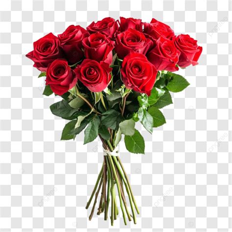 녹색 잎이있는 신선한 빨간 장미의 우아한 꽃다발 빨간 장미 꽃다발 신선한 장미 꽃다발 녹색 잎 꽃다발 Png 일러스트 및 이미지 에 대한 무료 다운로드 Pngtree