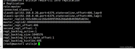 Redis群集主从复制 Redis群集主从复制