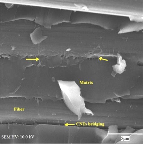 Sem Micrograph Of Hybrid Composite Showing The Bridging Effect Of Cnts