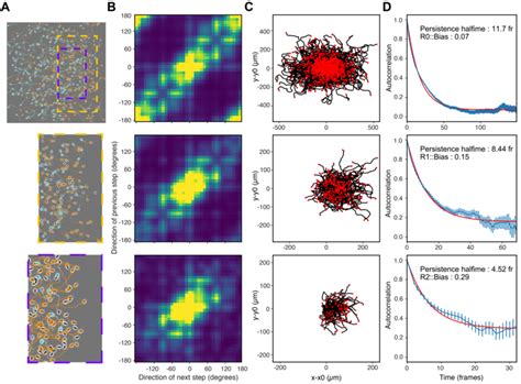 Non Homogeneous Initial Conditions Can Bias Statistics A A Random