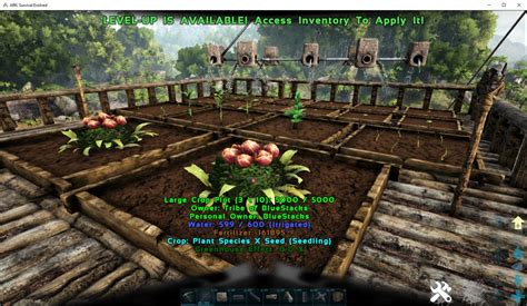 25 Best Ark Survival Evolved Settings That Give You An Advantage ...