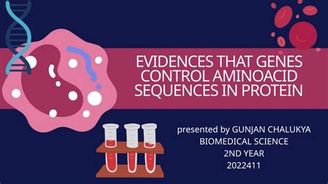 Decoding Proteins How Genes Shape Amino Acid Sequences And Influence