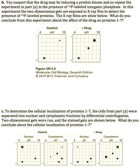 Solved 2 Proteomics Involves The Global Analysis Of Protein