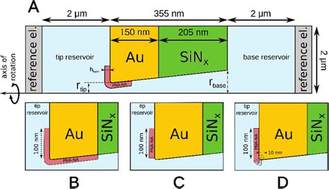 Schematic Axisymmetric Simulation Geometry Of The Nanopore Based Sensor Download Scientific