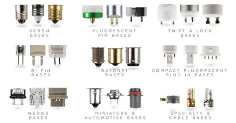 What Is A Large Base Light Bulb Called