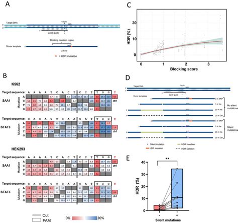 Addition Mutation Addition Mutation