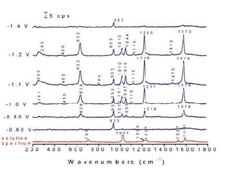 Surface Raman Spectroscopy On Transition Metal Surfaces The Infrared And Raman Discussion Group