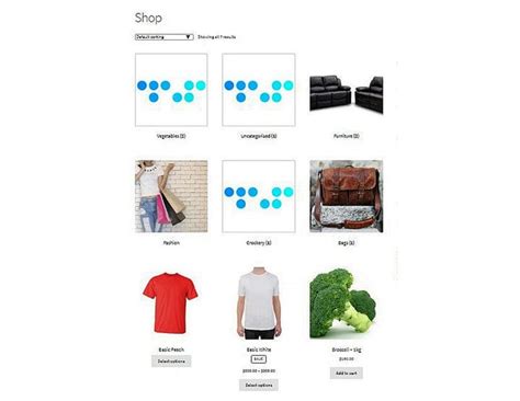 Cómo ocultar una categoría de WooCommerce de la página de su tienda