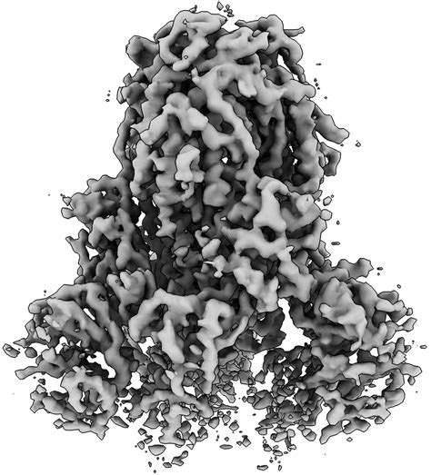 An Example Of Reconstructing A Structure From The Cryo Em Density Map