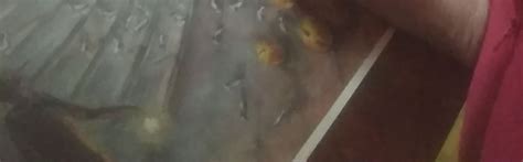 Aleksandr Tkachenko Artista Artista Concettuale Contemporaneo Austriaco Singulart