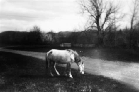 Untitled Mary Lalusi Flickr
