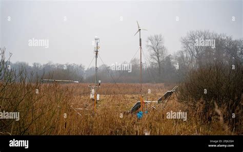 Scientific Experiment To Measure Carbon Emissions In A Swamp Area Stock