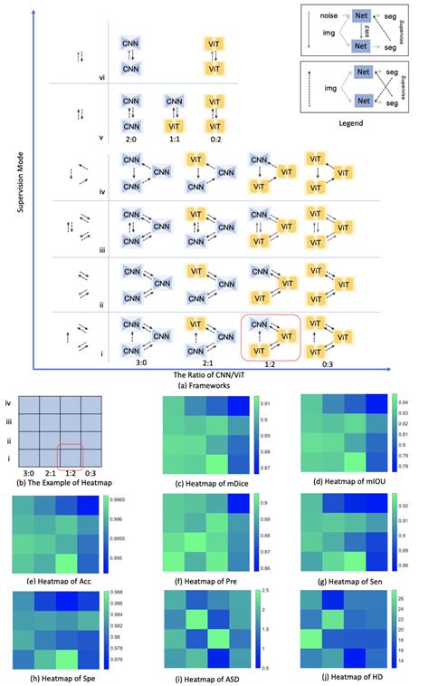 The Topological Exploration Of The Networkcnnandvit And Download