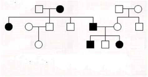 Solved For Each Of The Human Pedigrees Determine The Mode Chegg Com
