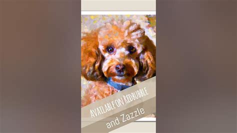 Poochie Pals Collection Youtube