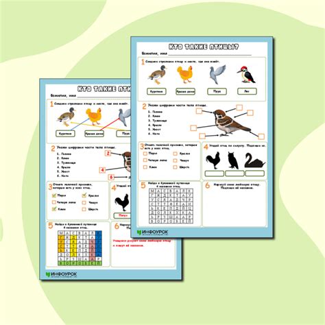 Рабочий лист по окружающему миру для 1 класса на тему Кто такие птицы
