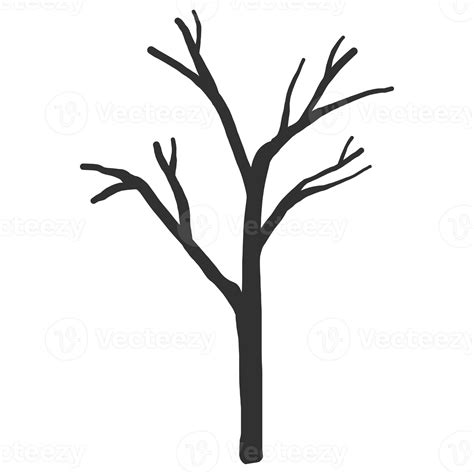 Hand Drawn Naked Tree Silhouette 13743879 PNG