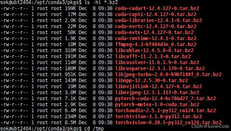06 安装pytorch csdn博客