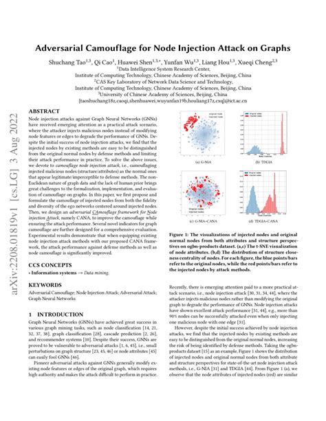 Adversarial Camouflage For Node Injection Attack On Graphs Deepai