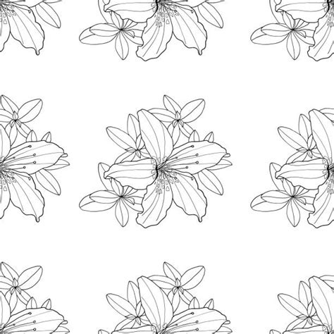 철쭉 스톡 사진 및 일러스트 Istock