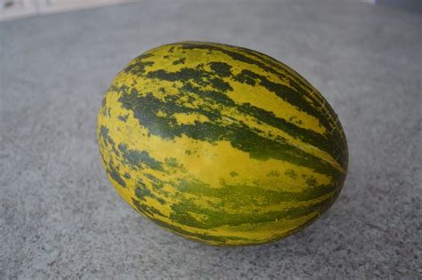 How To Prepare And Eat Santa Claus Melon Aka Christmas Melon Piel De