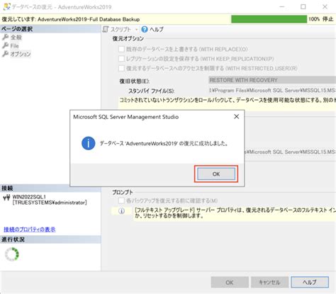Sql Server サンプルデータベースを導入しよう 時間がないので今日も勤務時間外に調べてます