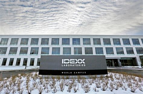 Idexx Laboratories Vs Resmed Which Stock Could Rally
