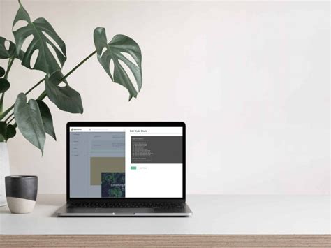 Understanding Css Declarations In Dubsado Forms