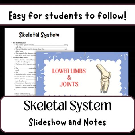 Skeletal System Slideshow And Guided Notes By Real Life Science Tpt