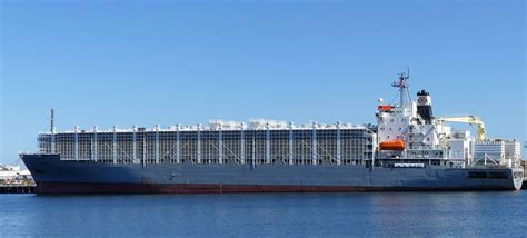 Maysora Ships In Fremantle Port Fremantle Shipping News