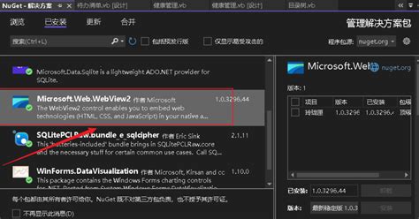 【vbnet自学】实战第11课：利用webview2内嵌网页调用webview2打开网页 Csdn博客