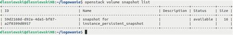 How To Create Instance Snapshot Using Openstack Cli On Code De — Code