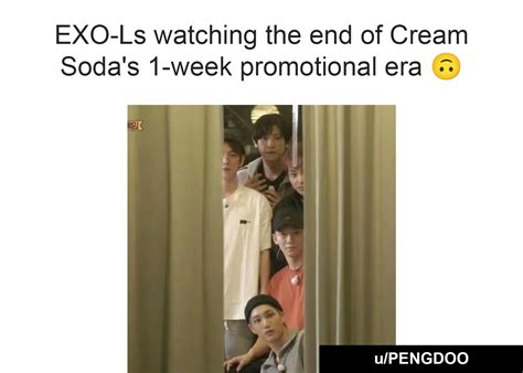 Exo Memes Caption This 101 Rexo