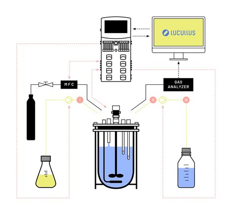 Automated Evolutionary Engineering Of Microorganisms In Bioreactor
