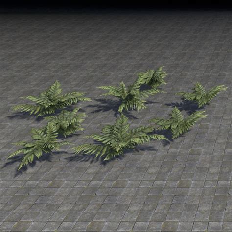 Online Tree Ferns Juvenile Cluster Uesp Wiki The Unofficial Elder Scrolls Pages