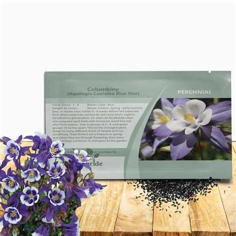 When To Plant Columbine Flower Seeds