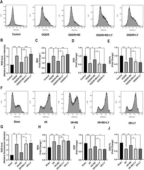 Remimazolam Suppresses Oxidative Stress And Apoptosis In Cerebral Isch Dddt
